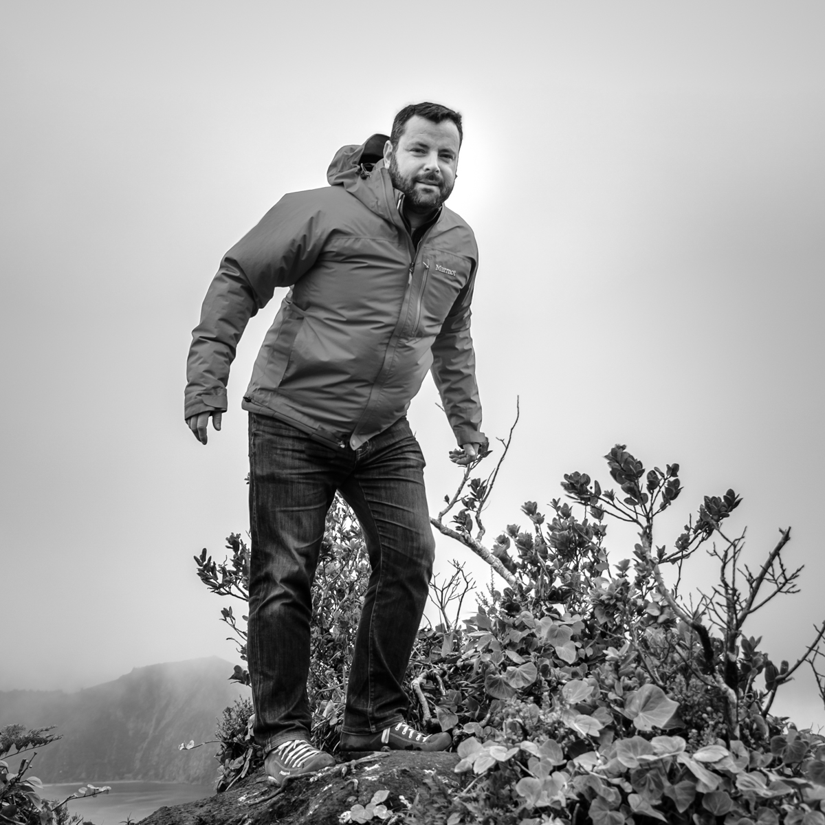 Flylight Media Website Services | Digital Marketing & Web Design Agency